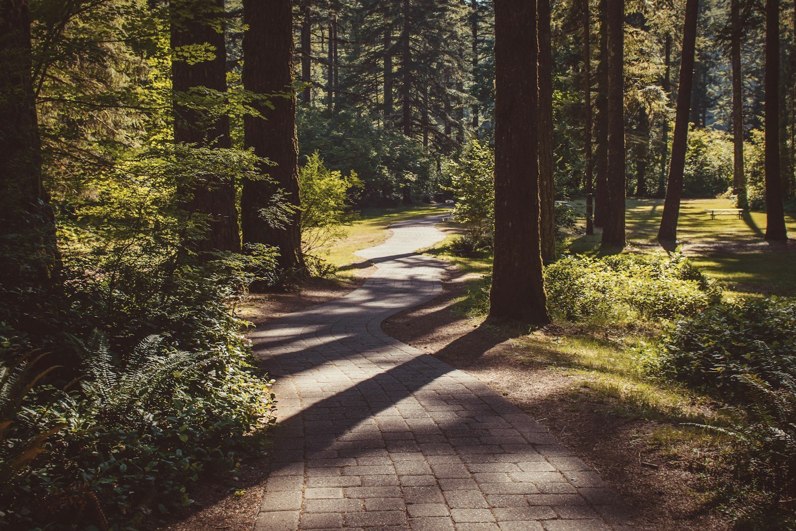 Interlock Or Pavers: Which One Should You Choose?